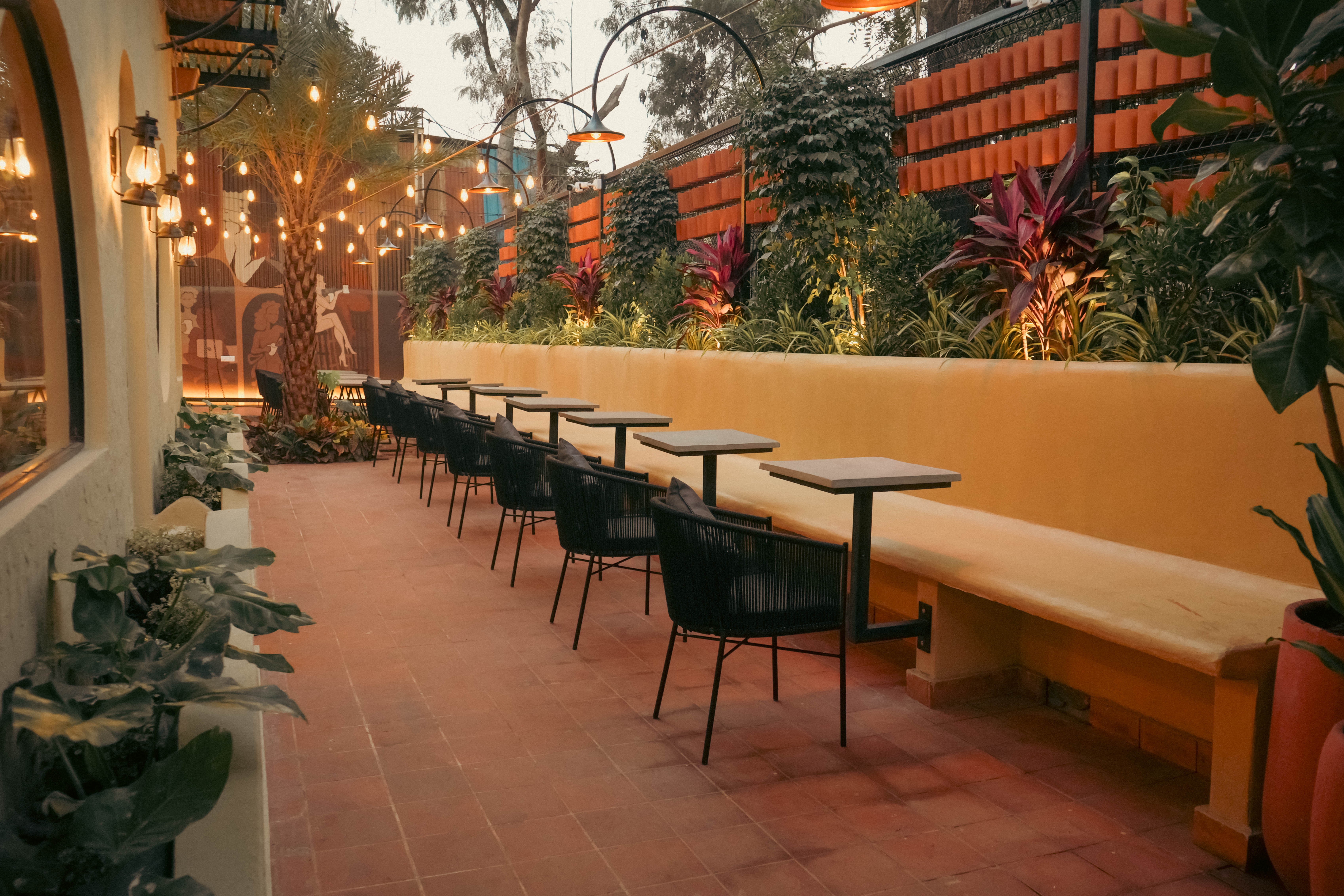 India Based Coffee Chain || Tan Coffee India || Arabica Coffee Brewing Now